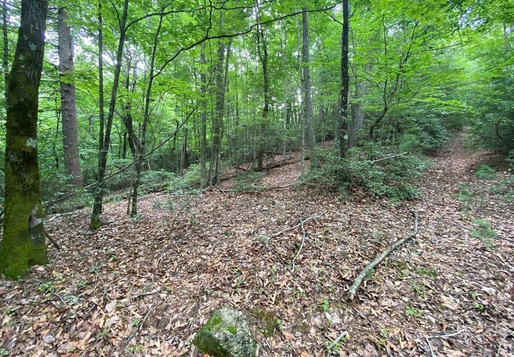 Lot 182 Fox Hunt Trail - Chestnut Mountain Farms